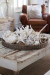 Shell Decor Ideas – NancyC